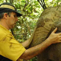 Benoît Goossens – Danau Girang Field Centre